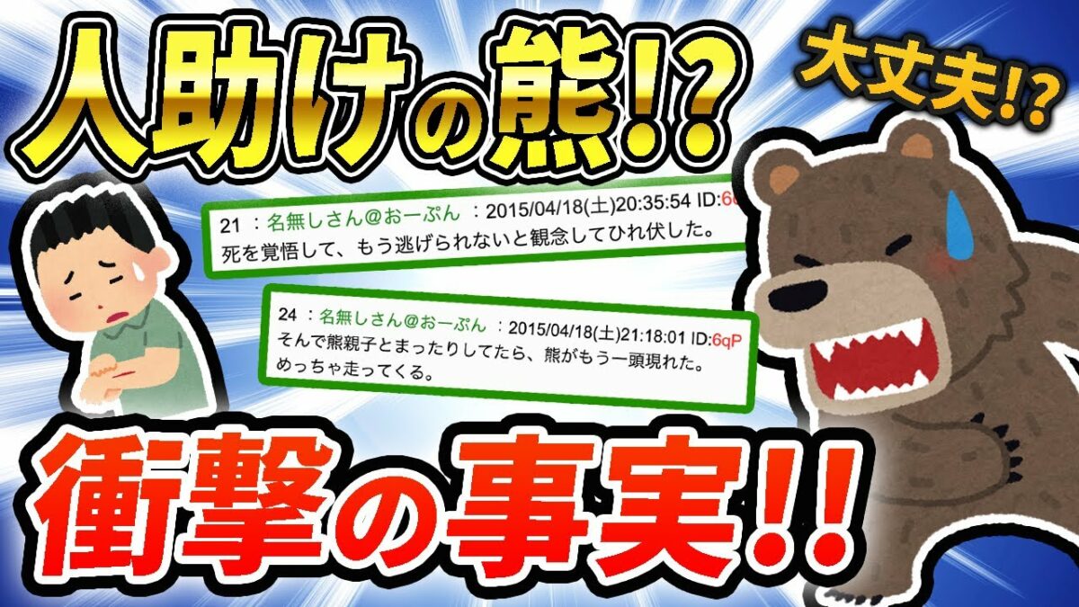 遭難 まとめ 2ch-【2ch面白スレ】奇妙な体験？山で遭難した時に熊に助けられた話【ゆっくり解説】 - s-eigamura