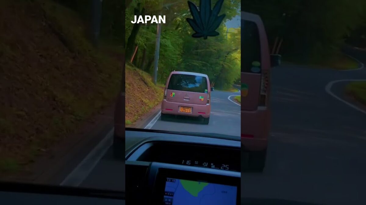 MOST BEAUTIFUL PLACE IN JAPAN ,..JAPAN TRAVELLERS , 日本旅行のビデオブログ(Ranzan, Saitama)#japantrip - s ...